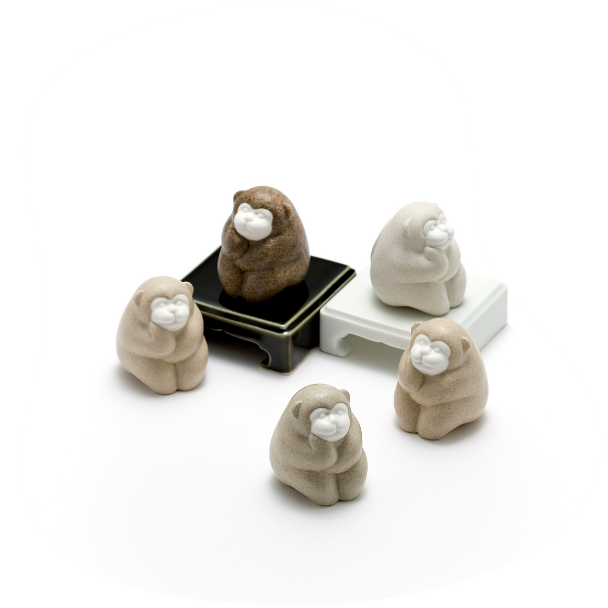 The Contemplative Monkey – BIROSO