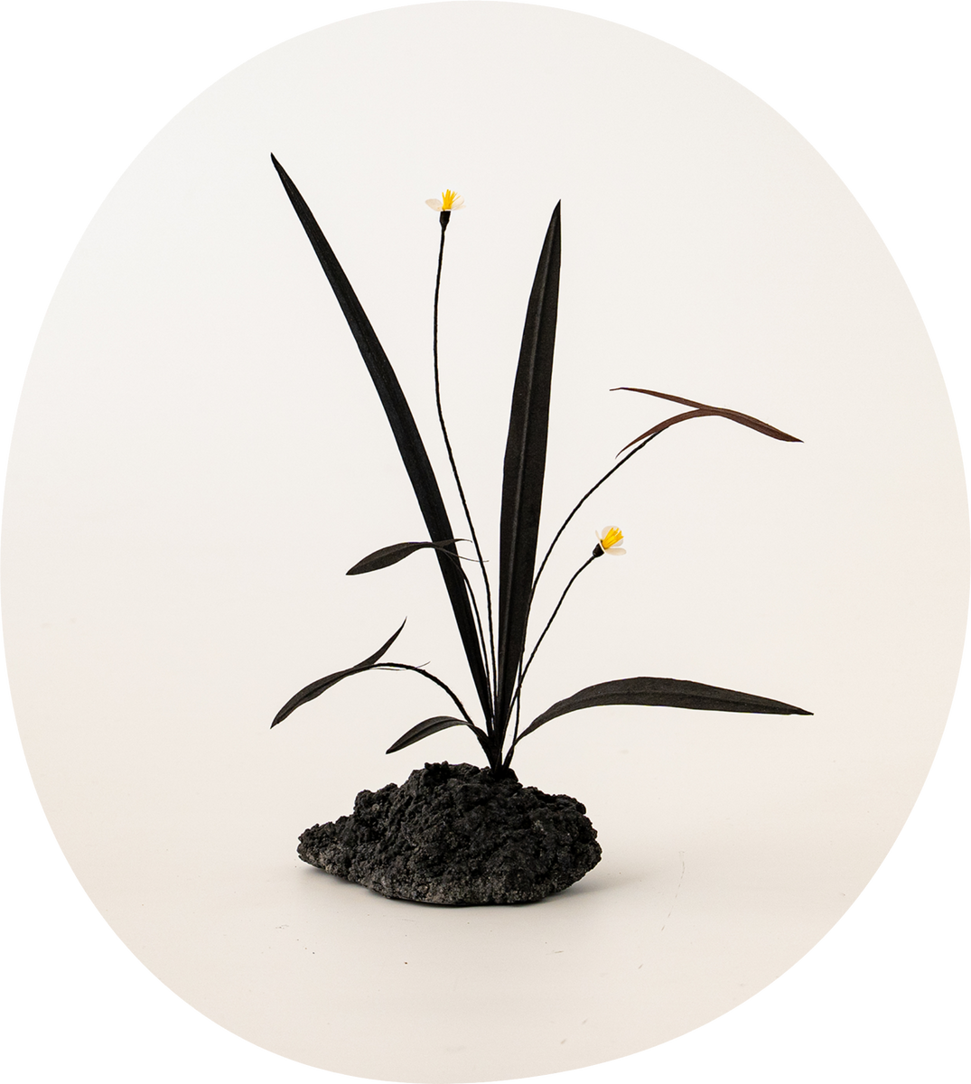 Paper Art / Calm and Serene [Stone Flowerpot] - Tulipa edulis – BIROSO