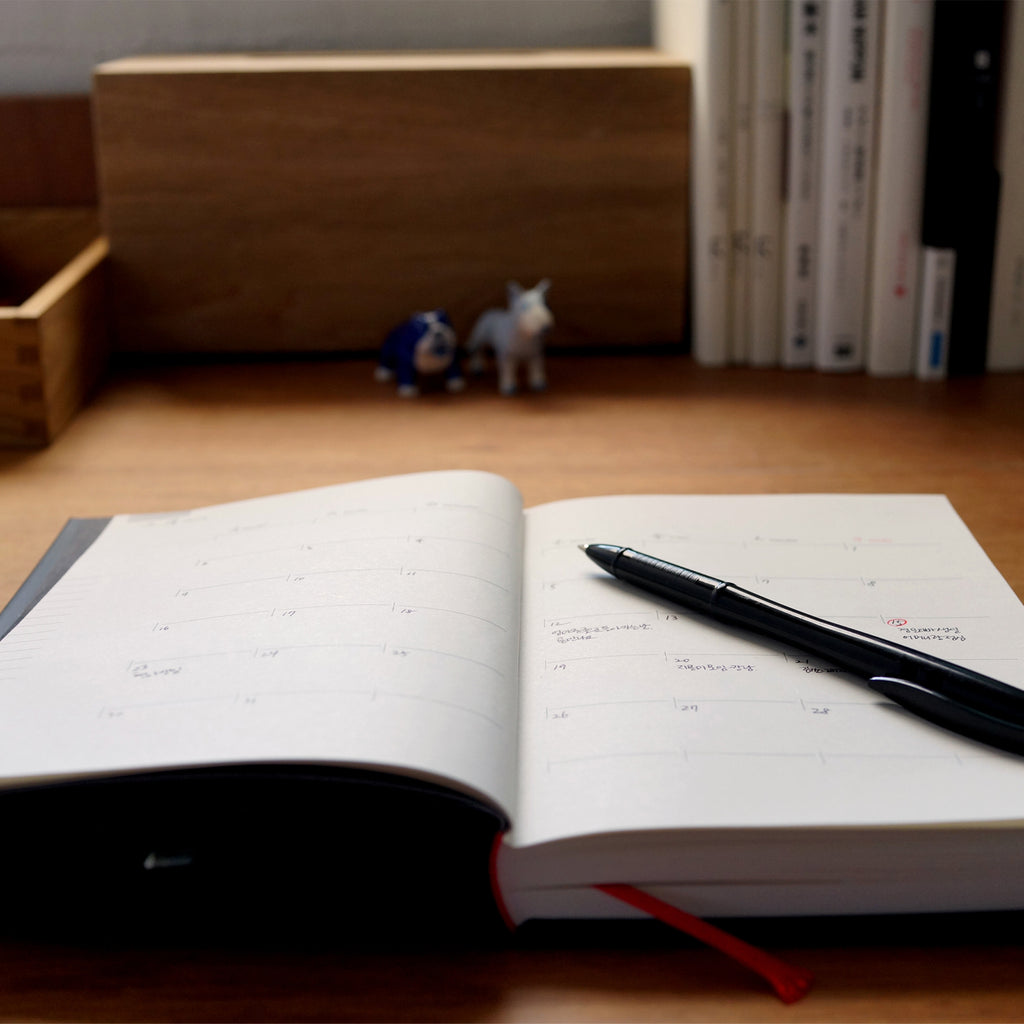 Jagae hologram Diary – BIROSO